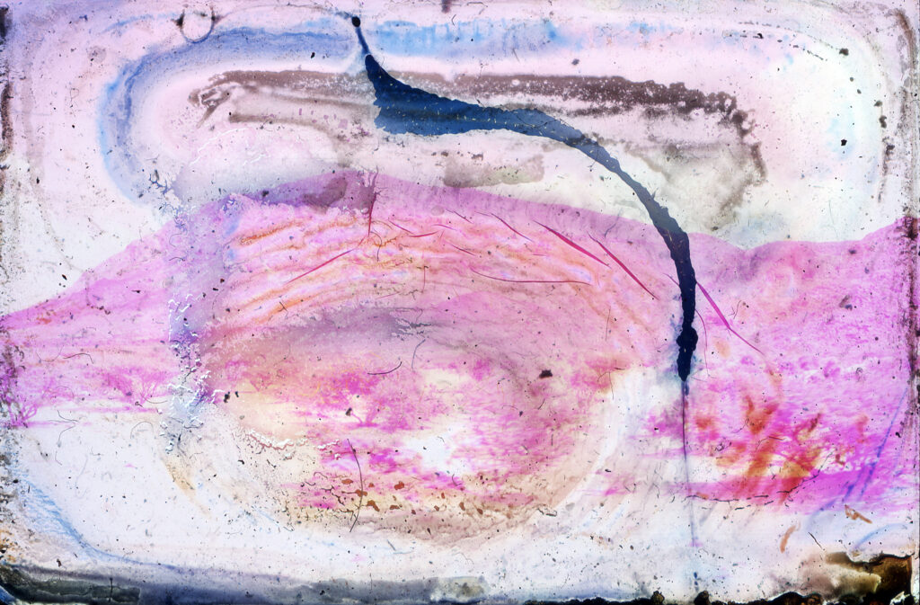 Symposium: Finite Future. Accountability and Sanctuaries - Art Hub ...